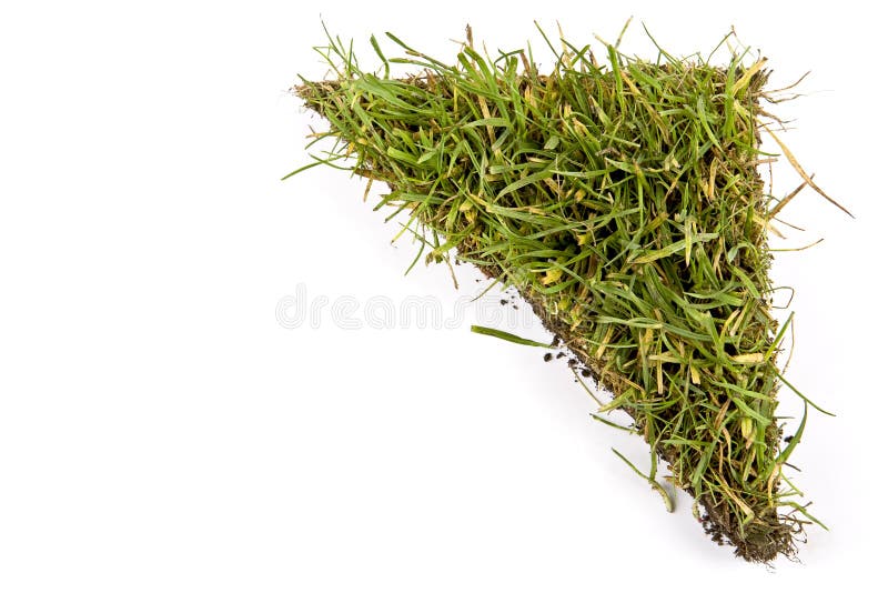 Turf stock photo. Image of background, roots, closeup - 5048430