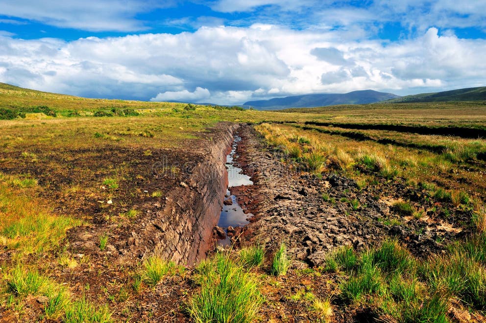 Turf Bog stock photo. Image of marsh, ireland, grass, summer - 6119782
