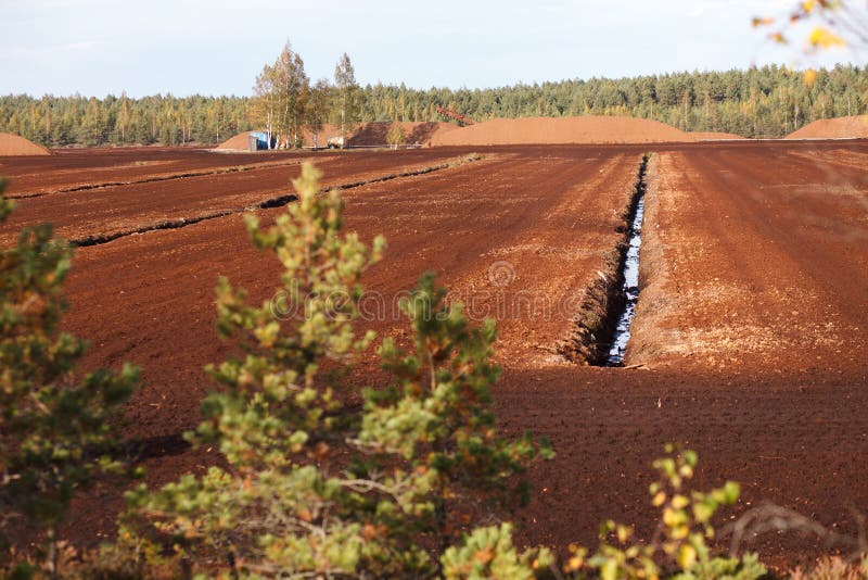 Turf extraction field stock image. Image of ditch, swamp - 28800789