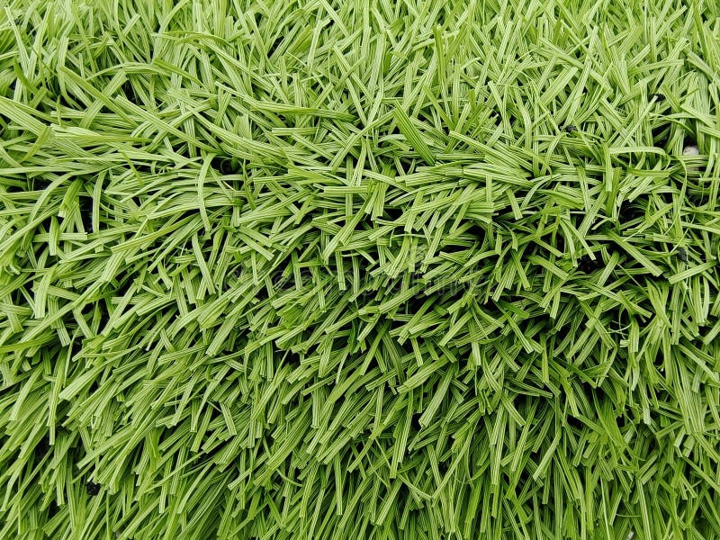 A Turf Field Refers To a Playing Field that is Covered with Artificial ...