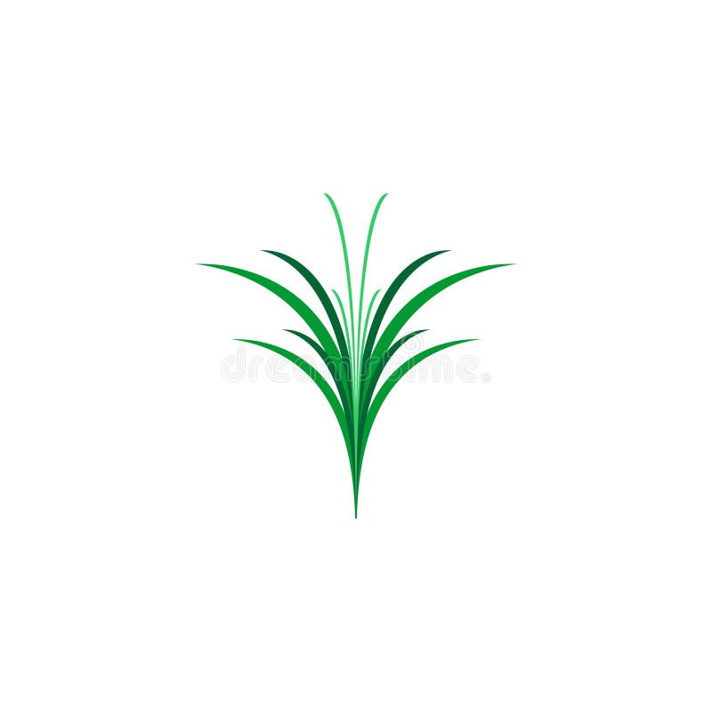 Turf Grass Logo Vector Symbol Stock Vector - Illustration of logo, lawn ...