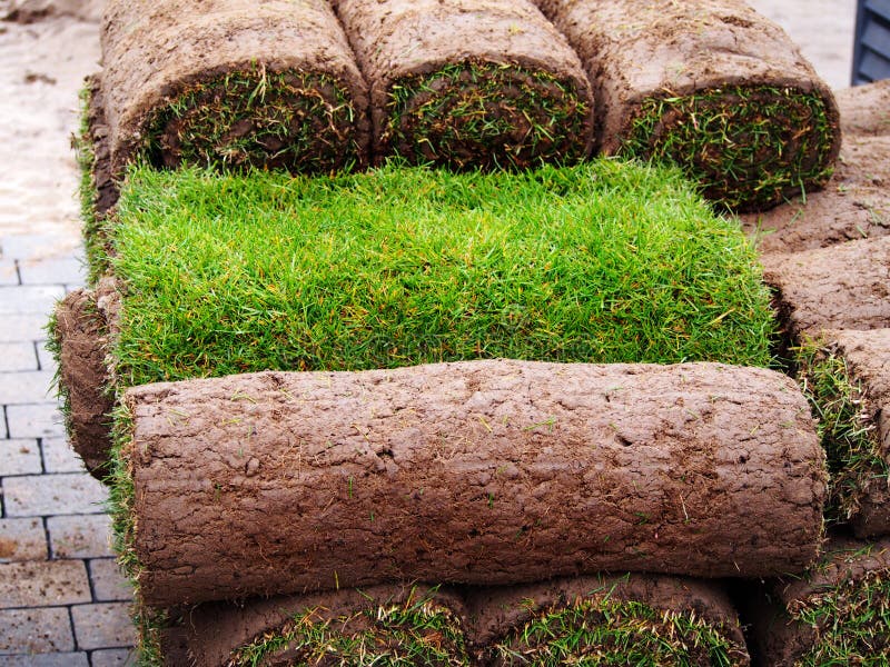 Turf grass roll stock image. Image of green, landscape - 79103871
