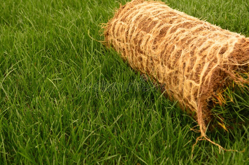 339 Turf Grass Roll Closeup Stock Photos - Free & Royalty-Free Stock ...