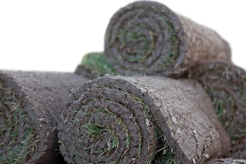 Turf grass rolls stock image. Image of roll, agricultural - 34686391