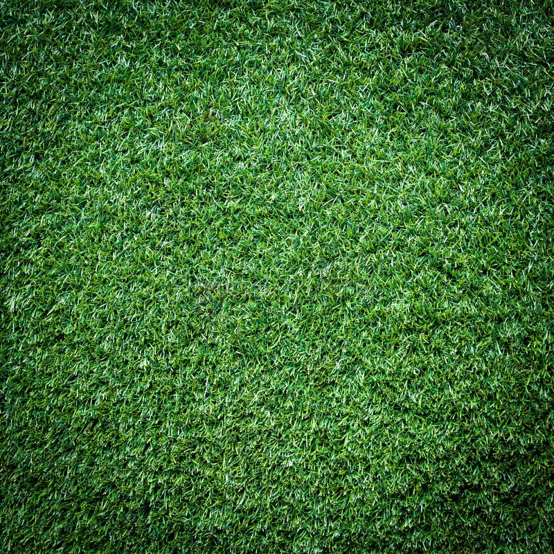 Turf Grass Texture stock photo. Image of grassland, meadow - 34869432