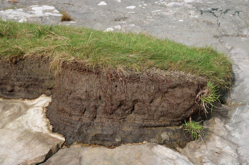 Turf on Layers of Soil on Limestone Base Stock Photo - Image of coast ...