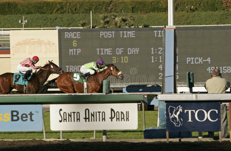 Turf Race Winner editorial stock photo. Image of power - 7597993