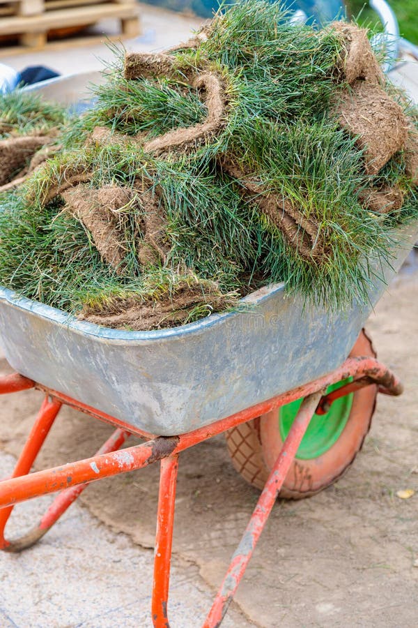 Turf Rolls for Landscaping in a Cart. Landscaping. Stock Photo - Image ...