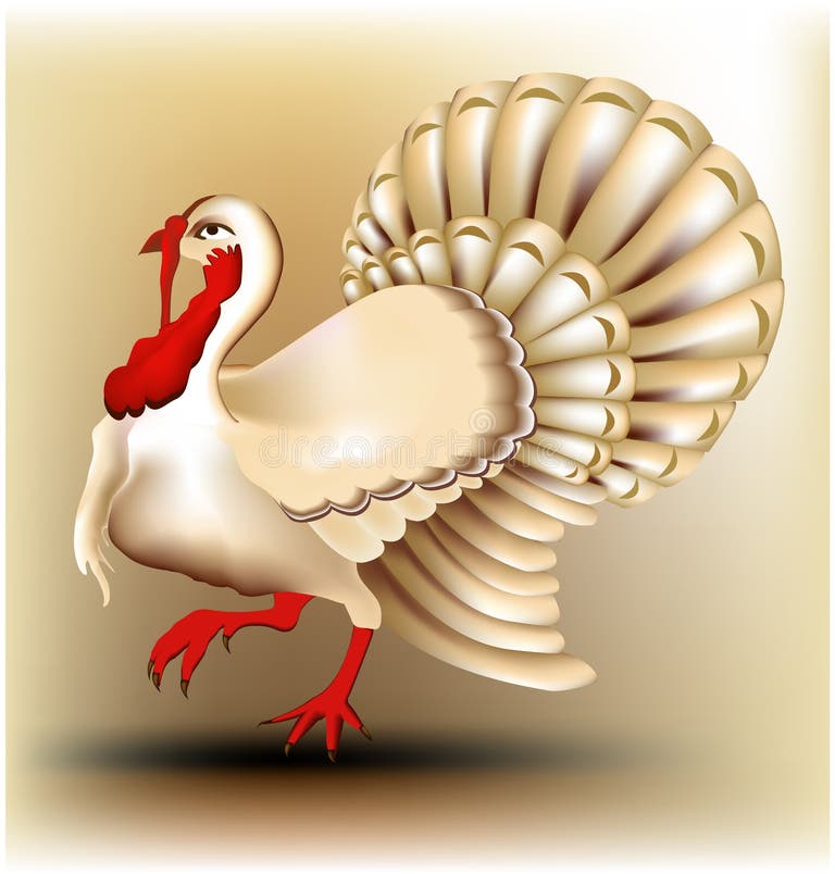 Turkey Beak Stock Illustrations – 3,515 Turkey Beak Stock Illustrations ...