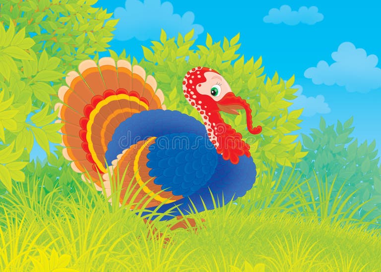 Turkey Tom Drawing Stock Illustrations – 124 Turkey Tom Drawing Stock ...