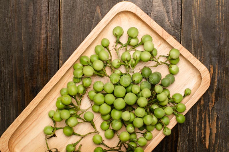 Turkey Berry or Pea Eggplant Stock Image - Image of berry, organic ...