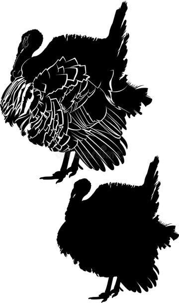 Wild Turkey Silhouette Stock Illustrations – 1,179 Wild Turkey ...
