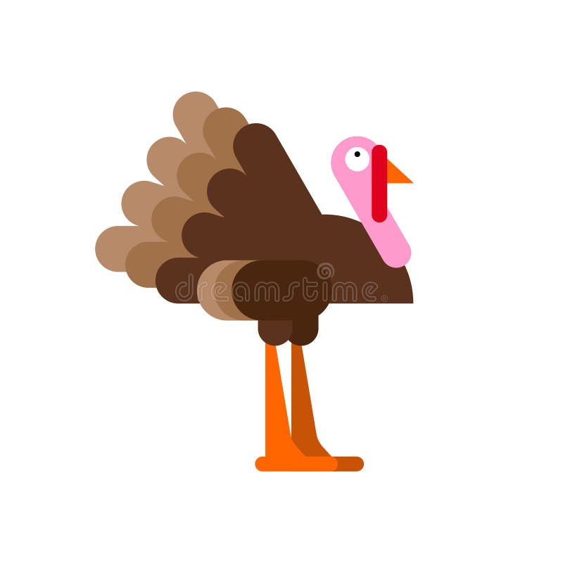 Turkey Bird Isolated Cartoon. Turkey Sign Stock Vector - Illustration ...