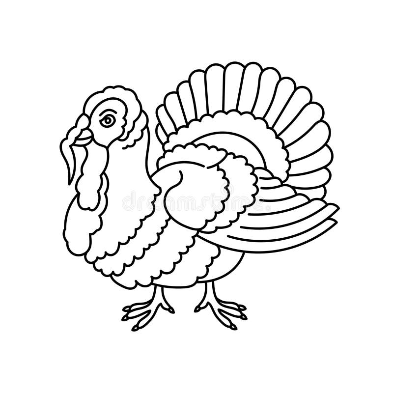 Turkey Bird. Poultry Farm. Vector Line. Editable Outline Stroke. Stock ...