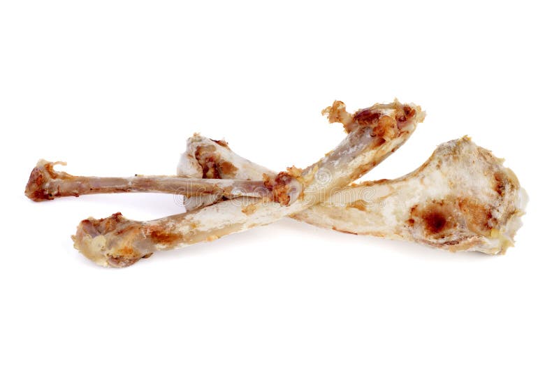Turkey bones left over stock image. Image of leftovers - 105503603