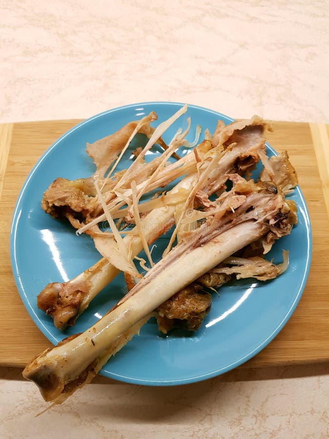 Turkey bones left over stock image. Image of leftovers - 105503603