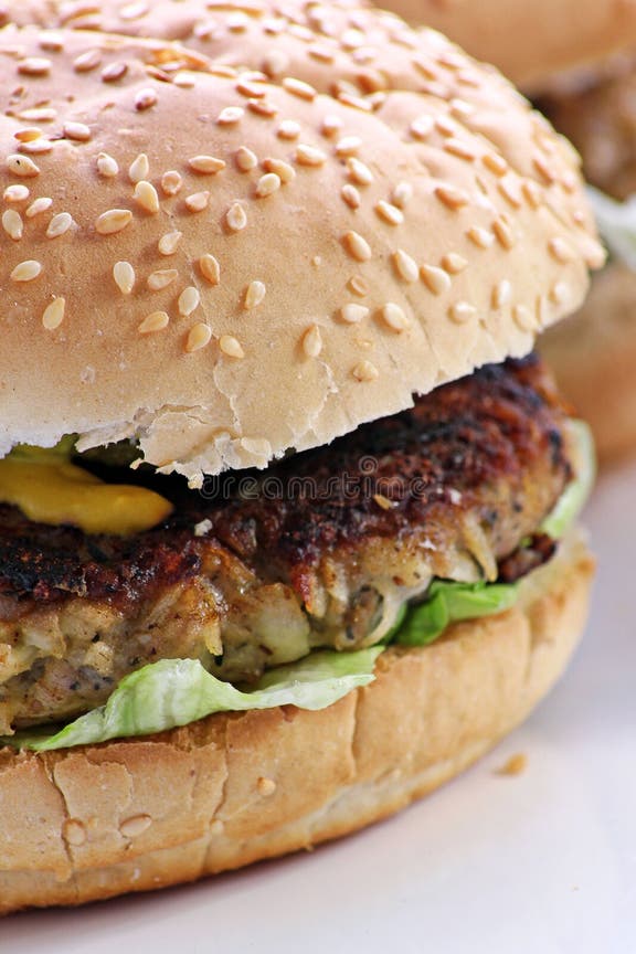 Turkey burger stock image. Image of seeds, burger, turkey - 48591527