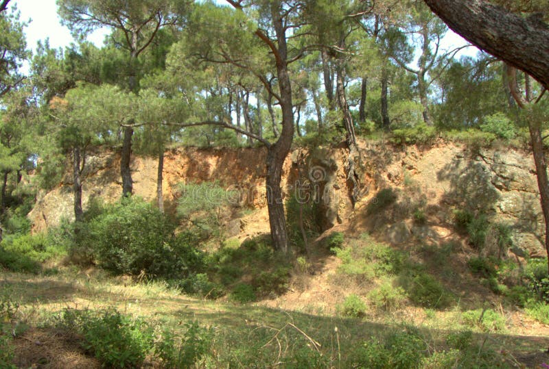 Turkey, Buyukada Island, Nature on the Island Stock Photo - Image of ...