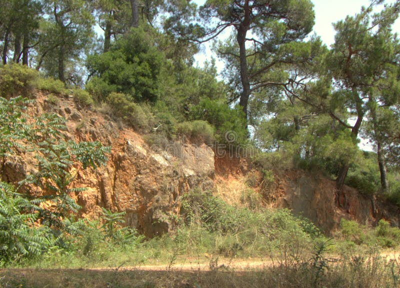 Turkey, Buyukada Island, Nature on the Island Stock Photo - Image of ...
