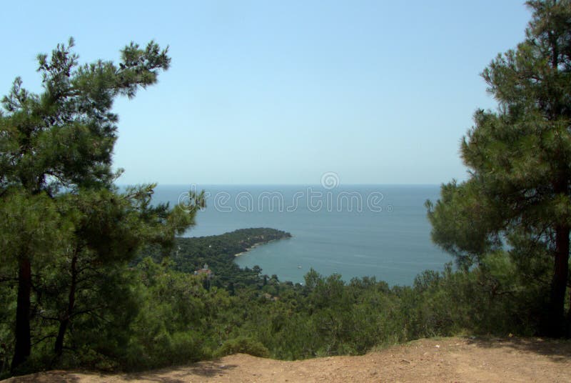 Turkey, Buyukada Island, View of a Wooded Cape Stock Photo - Image of ...