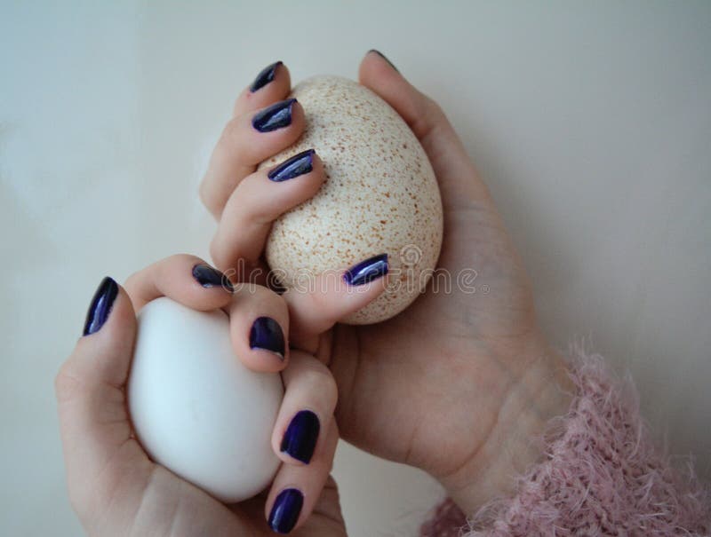 Turkey and Chicken Eggs in the Female Hands White Stock Image - Image ...