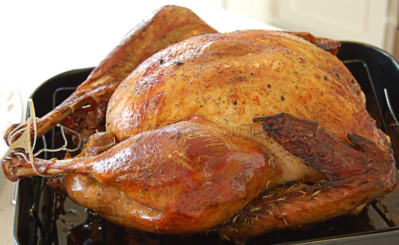Deep Fat Fried Turkey stock image. Image of brown, cook - 22403549