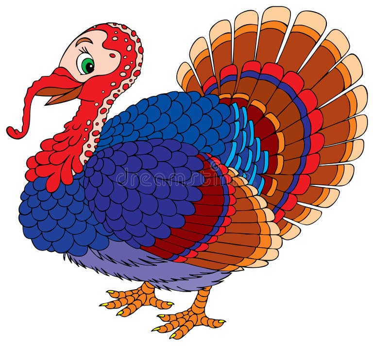 Turkey Tom Drawing Stock Illustrations – 124 Turkey Tom Drawing Stock ...