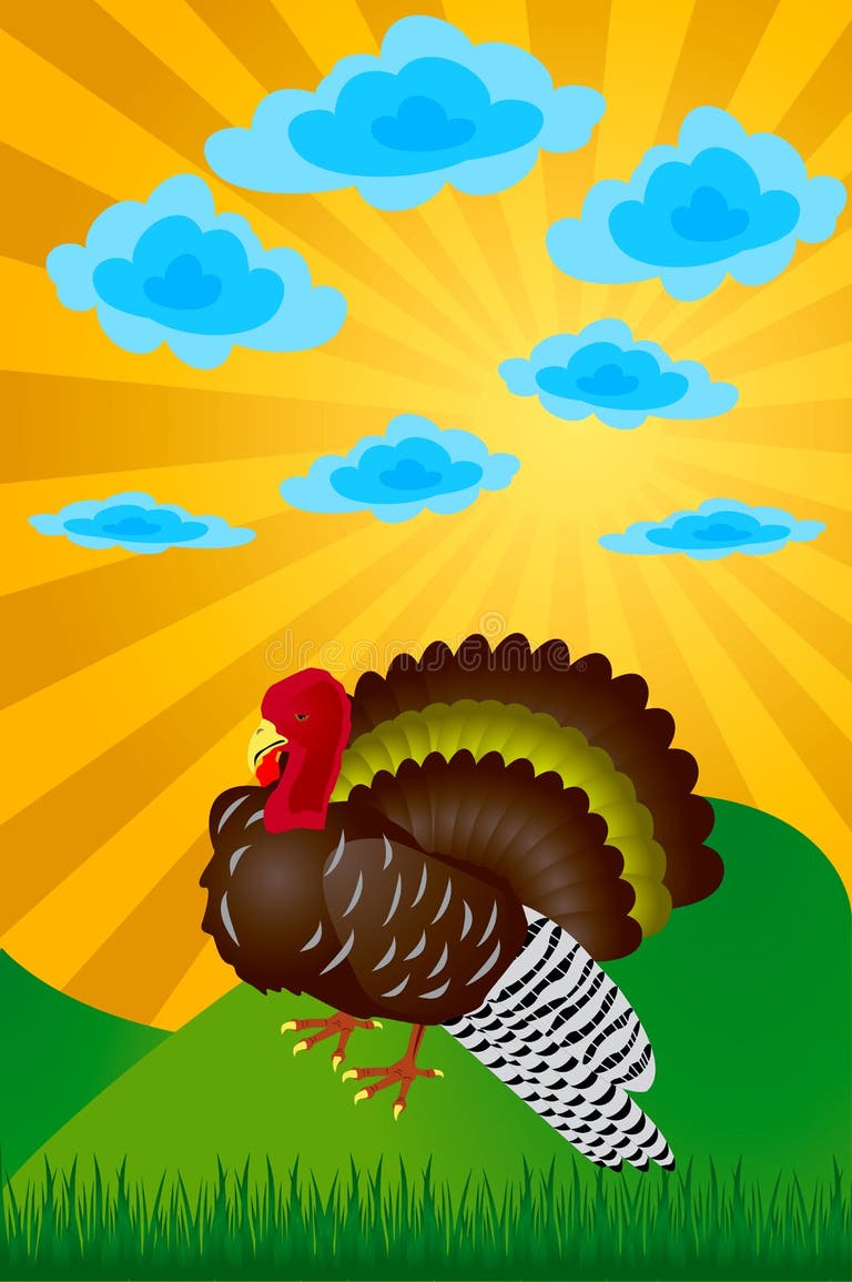 Turkey Green Grass Stock Illustrations – 1,949 Turkey Green Grass Stock ...