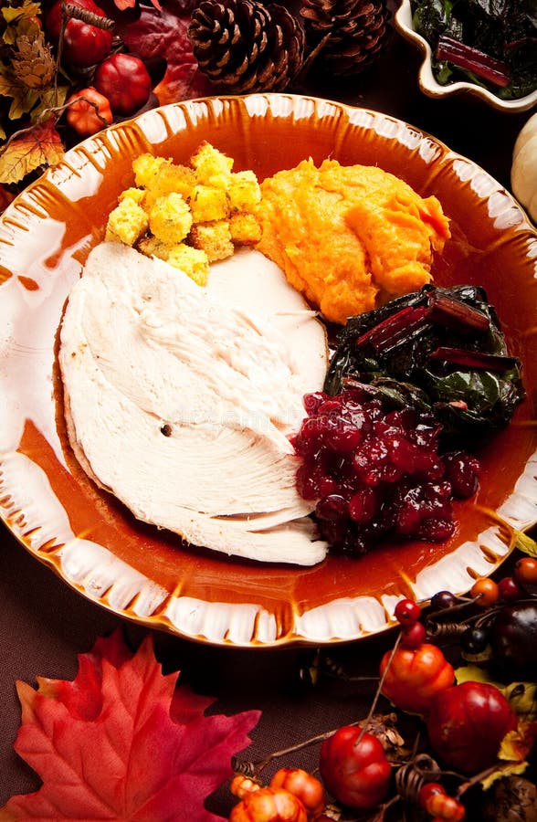 Turkey Dinner stock photo. Image of food, meat, cornbread - 16226168