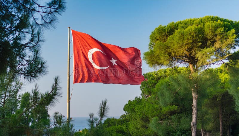 Turkey Flag. the National Flag of Turkey Stock Illustration ...