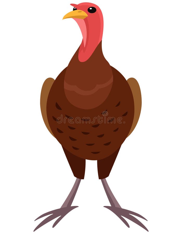 Turkey Illustration Front View Stock Illustrations – 359 Turkey ...