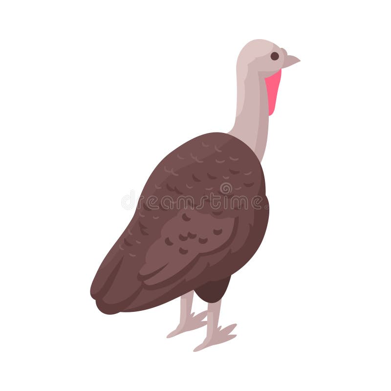 Isometric Turkey Illustration Stock Illustration - Illustration of ...