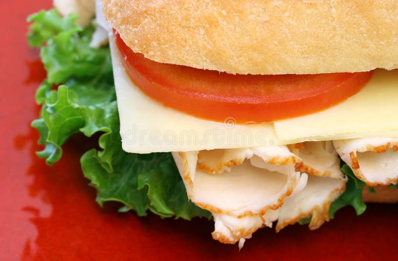 Turkey Hero Sandwich stock image. Image of ripe, poultry - 6230817