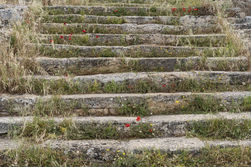 Turkey - Hierapolis - Octagonal Bath - Ancient Stone Steps Overgrown ...