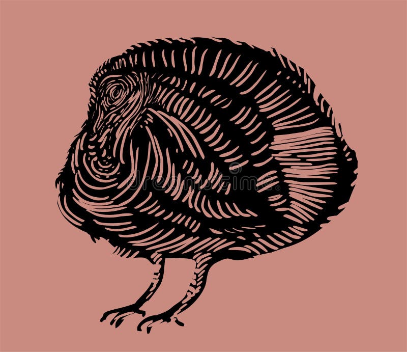 Turkey illustration stock illustration. Illustration of isolated - 55198335