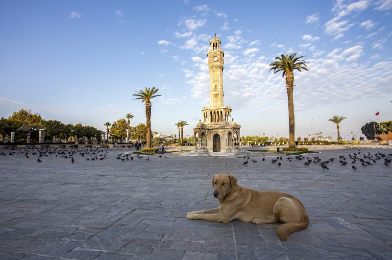 Turkey Izmir Old Clock Tower Editorial Photo - Image of famous, symbol ...