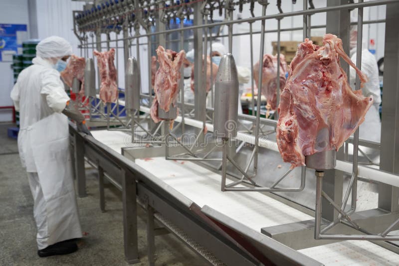 Turkey Meat Cutting Line at a Meat Processing Plant Stock Image - Image ...