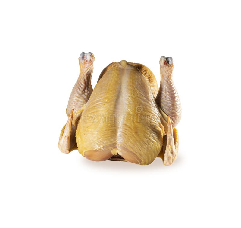 Turkey Meat Isolated. Farm Turkey Meat on White Background Stock Image ...