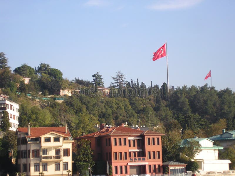 Turkey nice pictures great stock photo. Image of turkey - 63465666