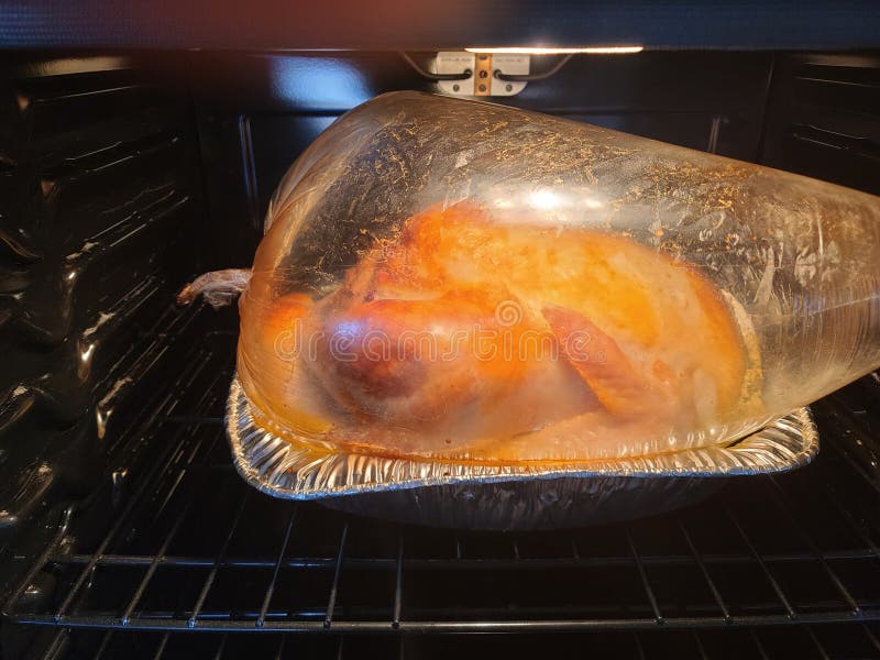Turkey in the Oven Cooking in a Bag Stock Photo - Image of baking, oven ...