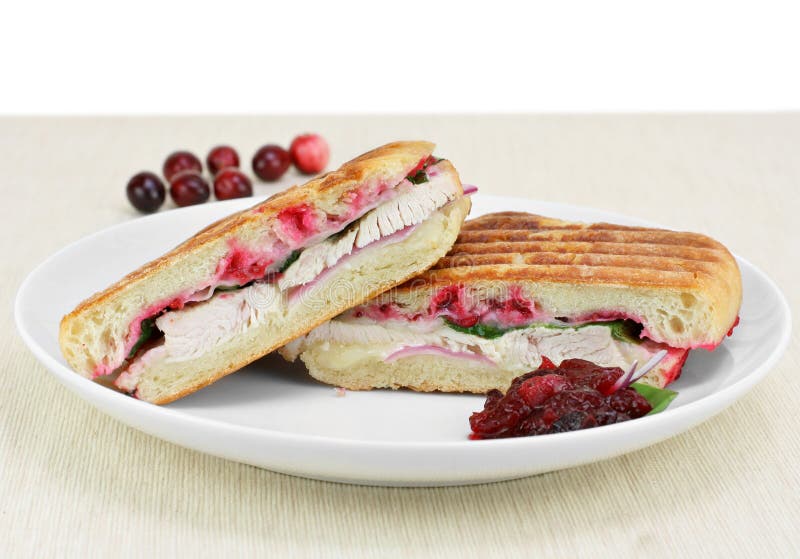Turkey panini stock photo. Image of vegetable, grilled - 24449822