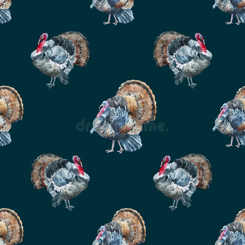 Turkey pattern stock vector. Illustration of animal, seamless - 58285128