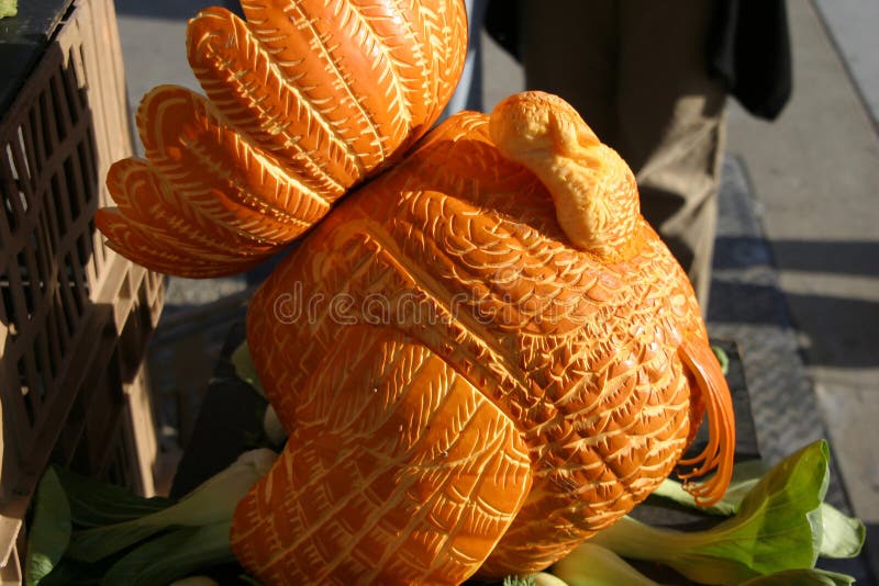 Turkey Pumpkin stock image. Image of fall, turkey, table - 362003
