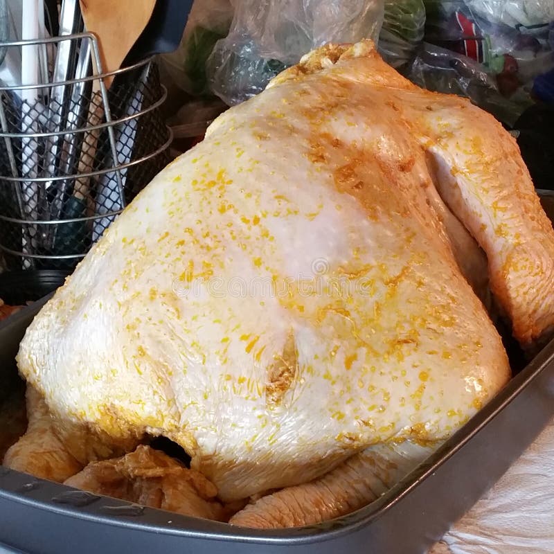 Turkey ready to bake. editorial photography. Image of turkey - 71890252