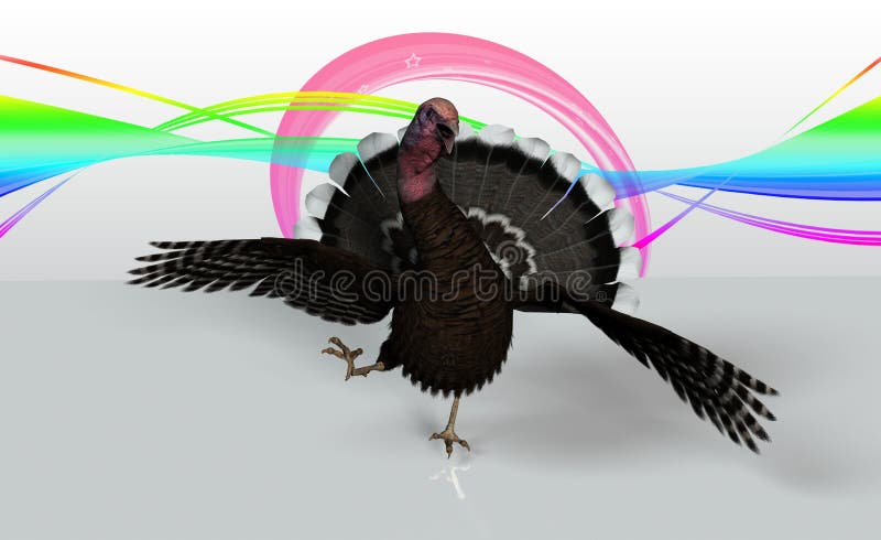 Turkey running stock illustration. Illustration of fool - 11686859