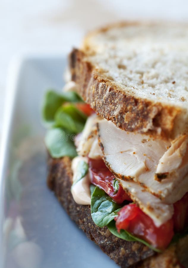 Turkey Sandwich stock image. Image of green, mayonaise - 26176973