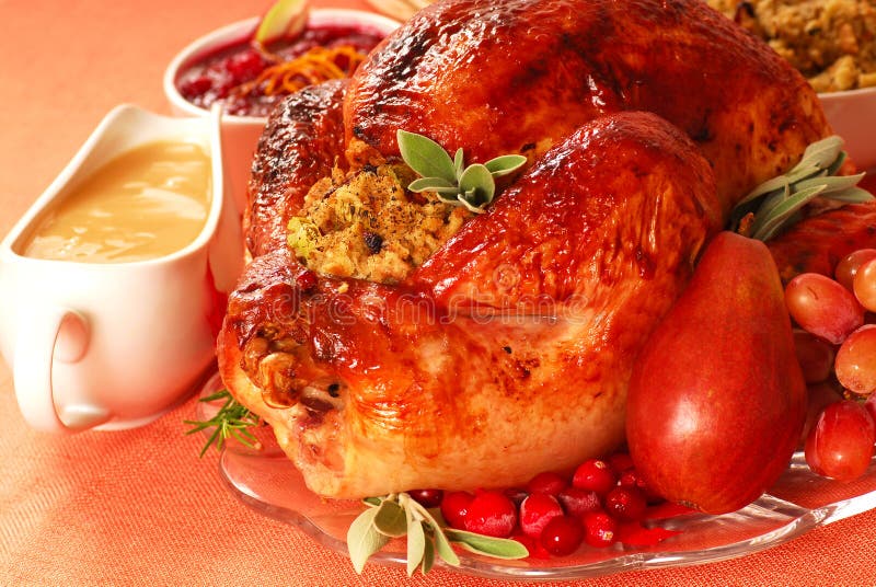 Turkey with Stuffing, Gravy and Cranberry Sauce Stock Image - Image of ...