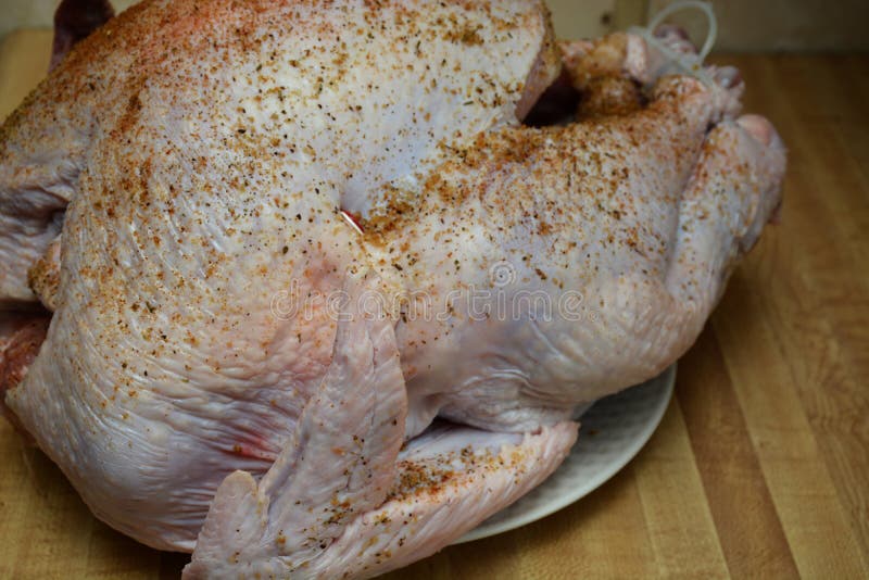 Turkey stock photo. Image of turkey, thanksgiving, cooking - 63018524