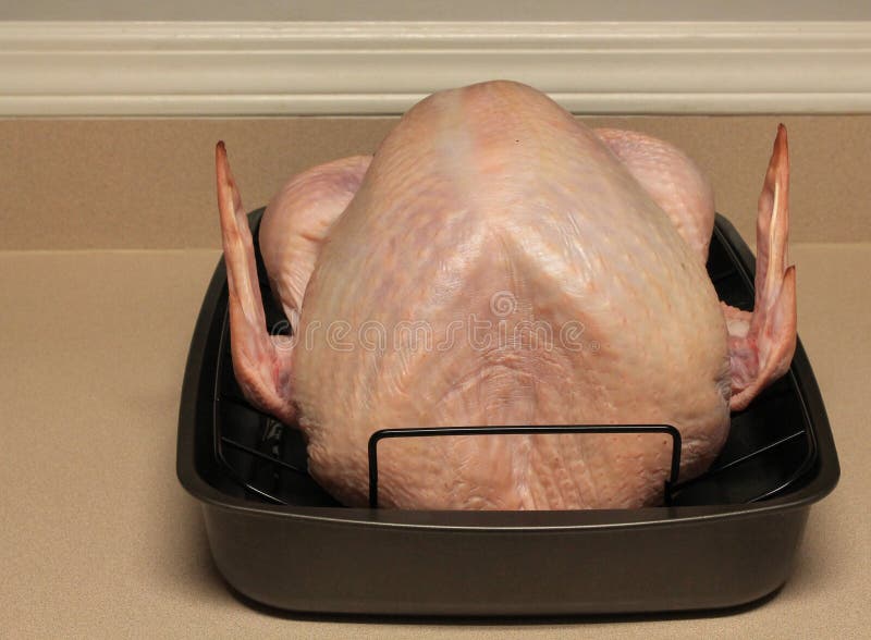 Turkey to the oven 1 stock image. Image of poultry, prepare - 65689983