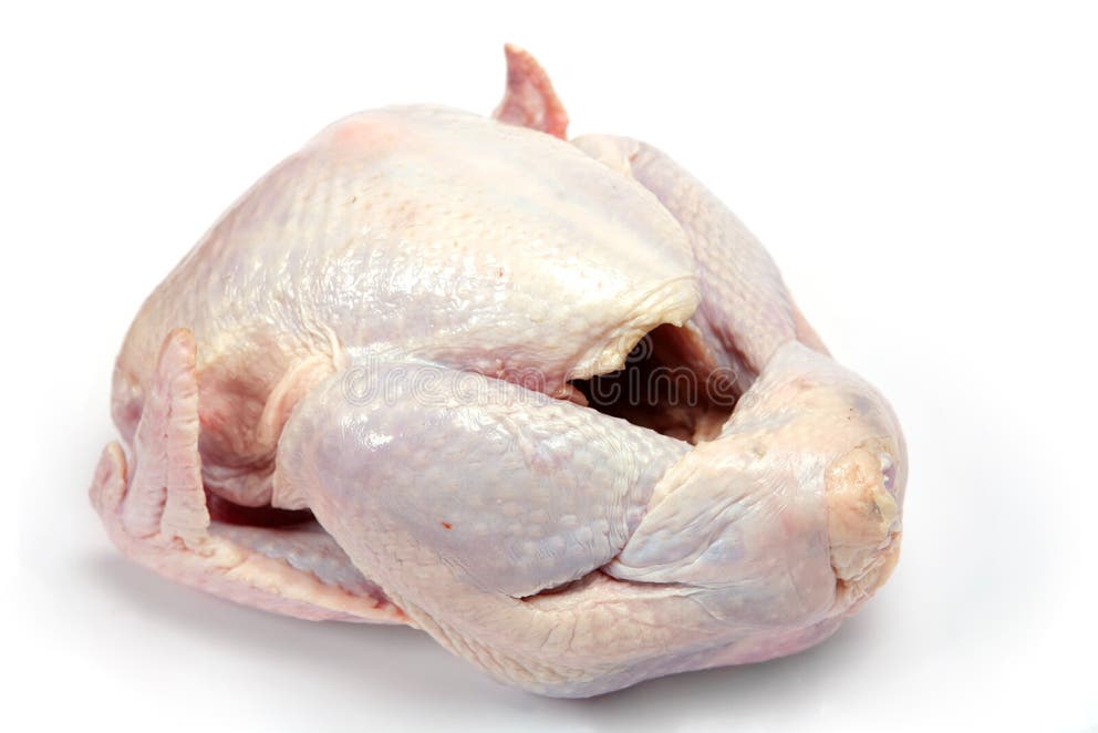 Turkey two-thirds view stock photo. Image of preparing - 6271448